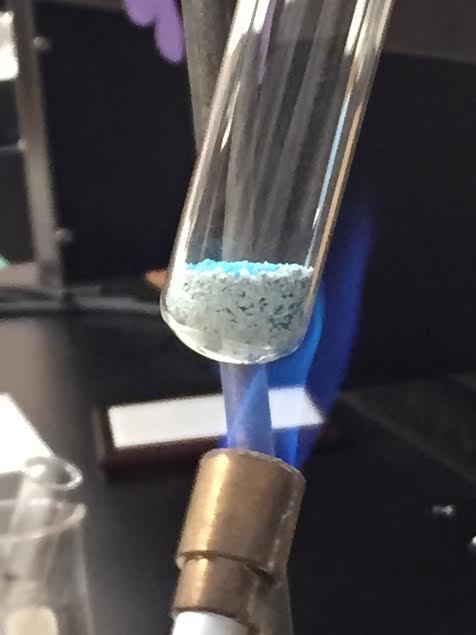 Megan T's Pre-AP Chemistry Blog: Formula of a Hydrate Lab