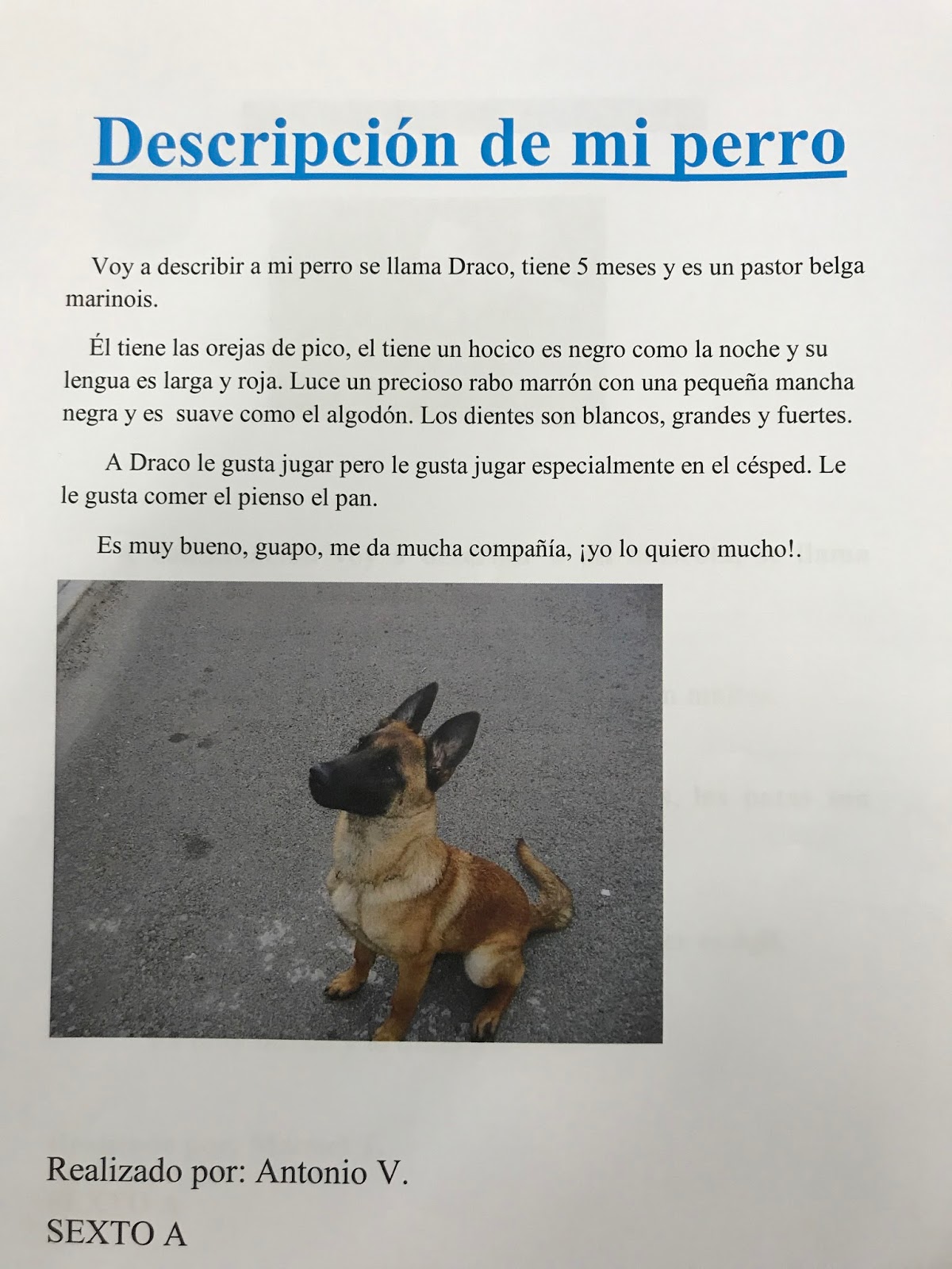 LA VENTANA DE MI CLASE DE TERCERO: DESCRIPCIÓN DE MI MASCOTA