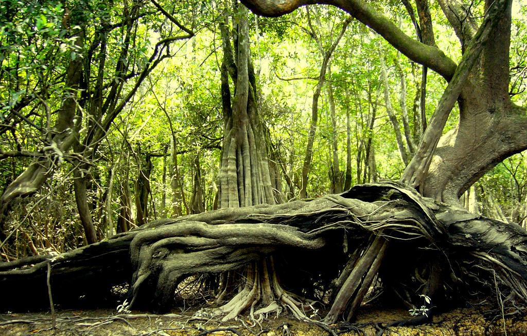 Ayo Menulis, Dez!: May 2012