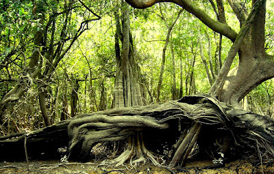 Ayo Menulis, Dez!: May 2012