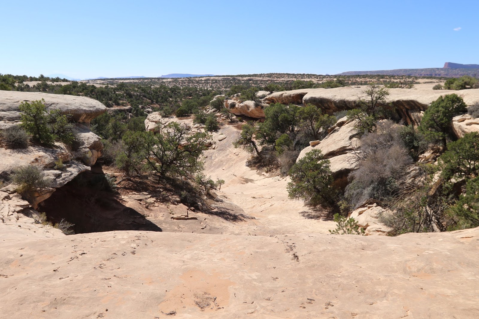 gjhikes.com: Step Canyon