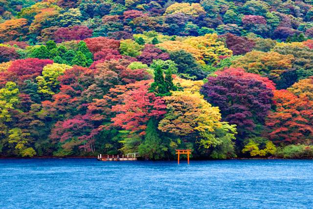 Lake Ashi in Hakone National Park(Eco Tourism in the world) - Eco ...
