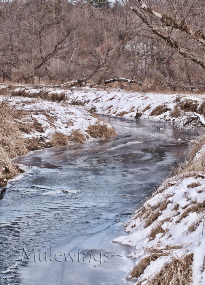 Mulewings: A Trip Back to Wildcat Mountain State Park ~ The Ice Cave