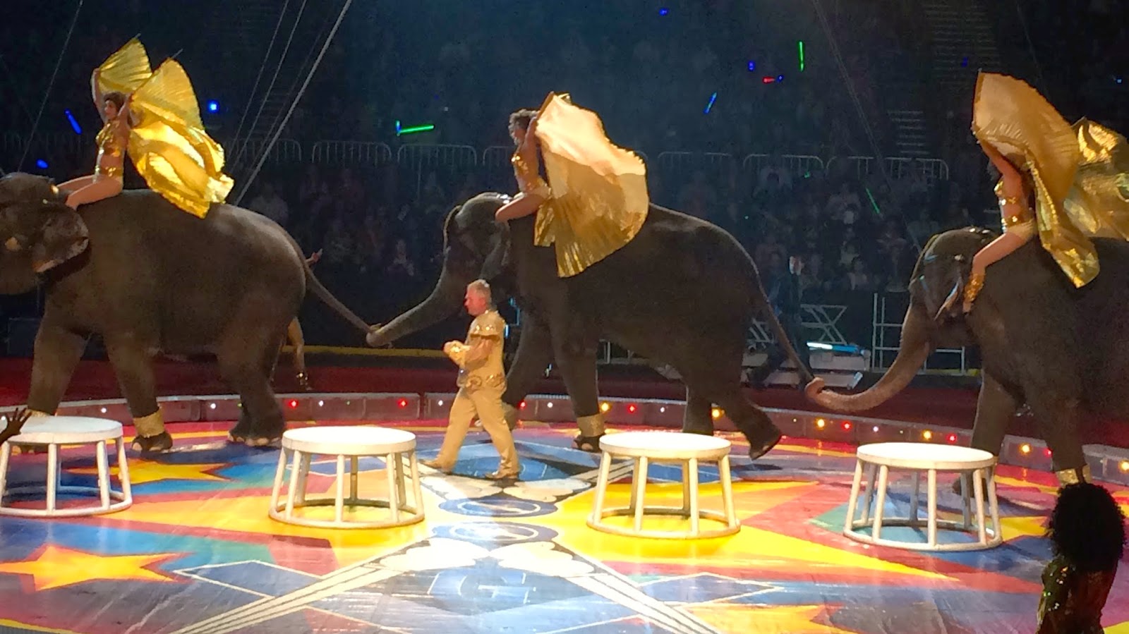 The Circus Came To Town | Anchors Aweigh