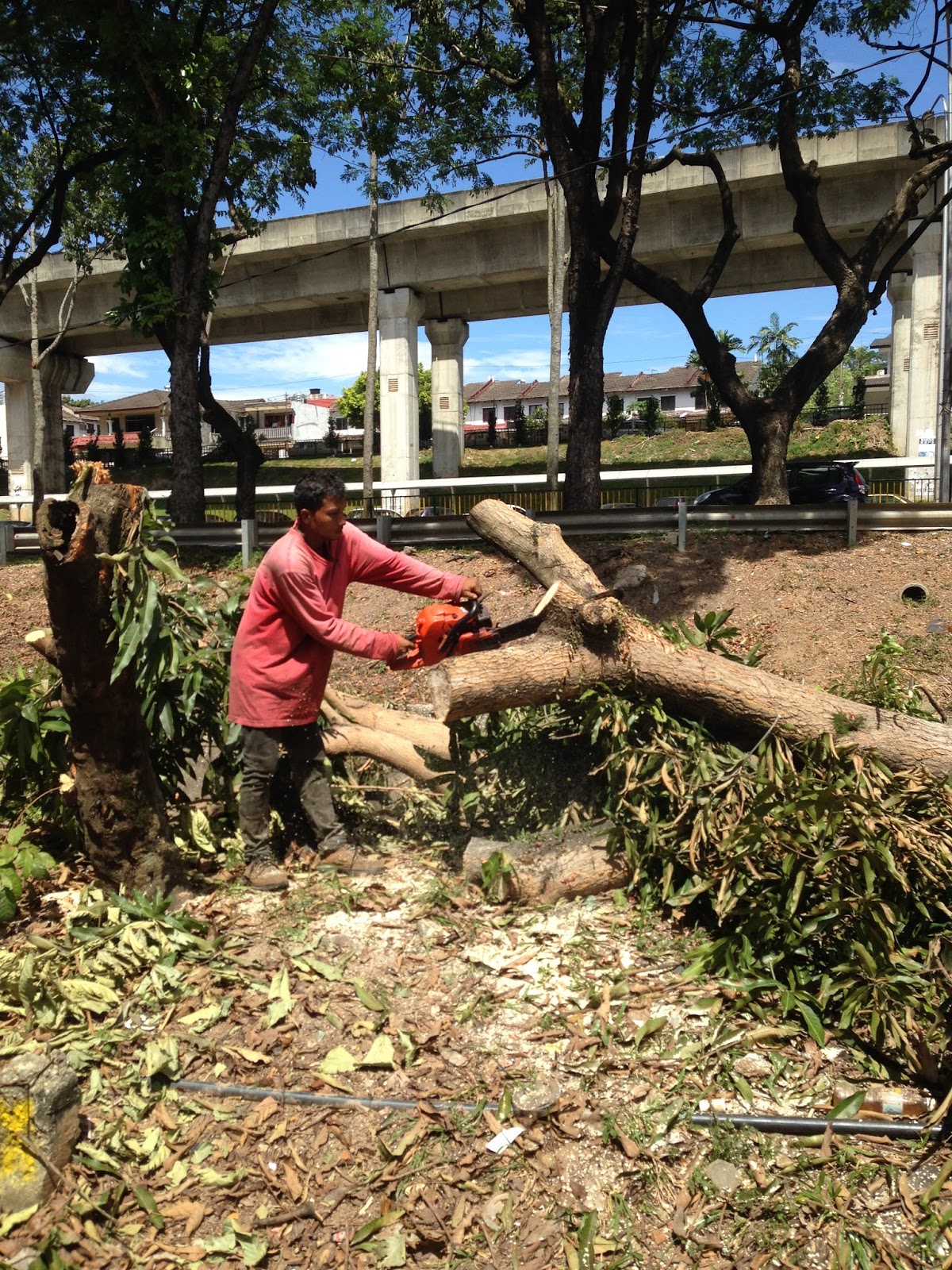 UZAYA TRADING: PERKHIDMATAN SEWA LORI RORO DAN TONG SAMPAH