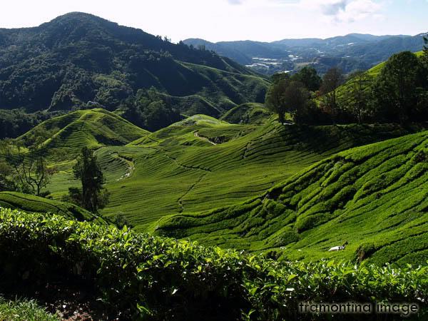 KEINDAHAN ALAM SEKITAR