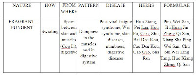 Maciocia Online: DAMP-HEAT