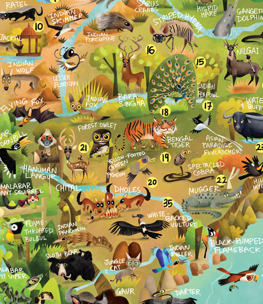 Green Humour: Illustrated Maps