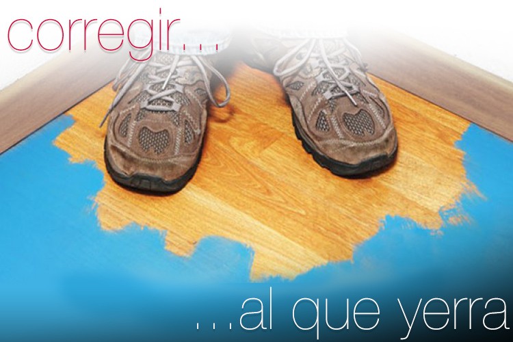 PARROQUIA MADRE DE DIOS: Corregir al que yerra (2)