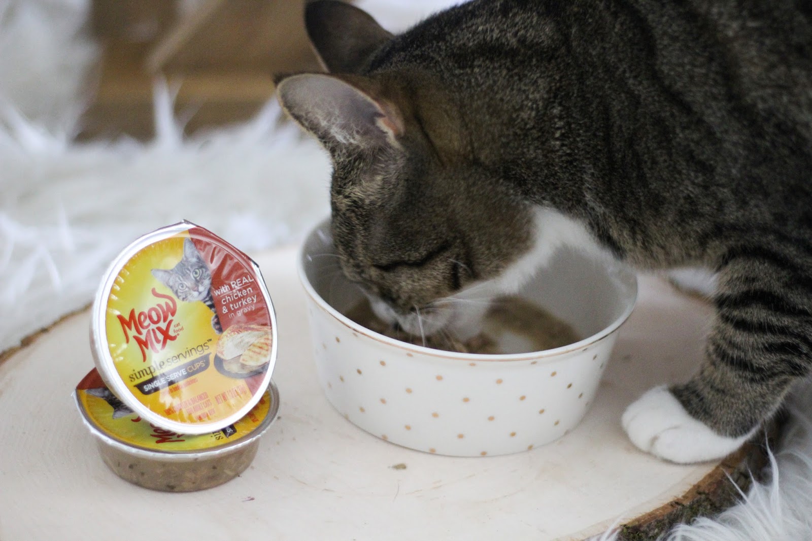 THREE WAYS TO SPOIL YOUR KITTY | A Classy Fashionista