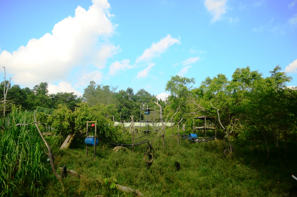 Frisca's Uniquely World: Borneo Orangutan Survival Foundation (BOSF ...