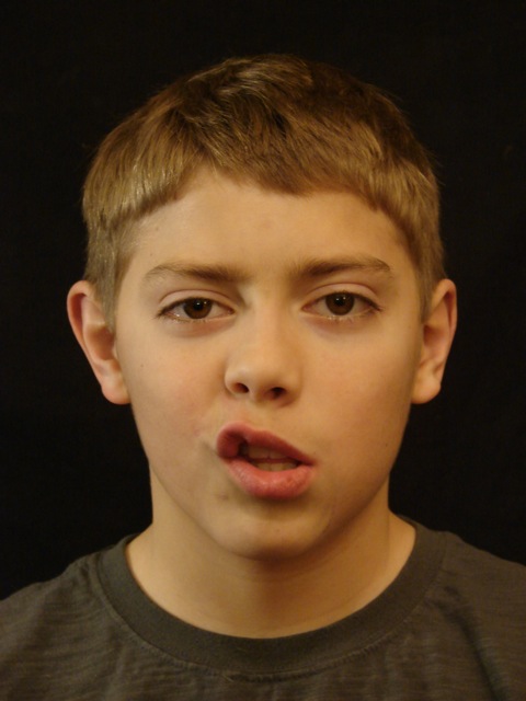 Cromofora La ( Paloma) Contemporary Online Art Gallery: DANIEL MAIDMAN