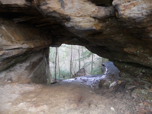 Red River Gorge/ Natural Bridge State Park, Kentucky