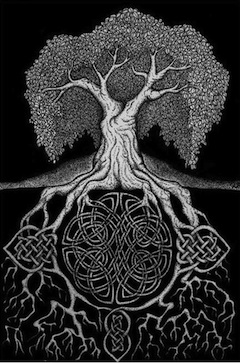 The Celtic Rose: The Celtic Tree of Life