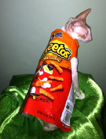 Cheetos Cat Costume