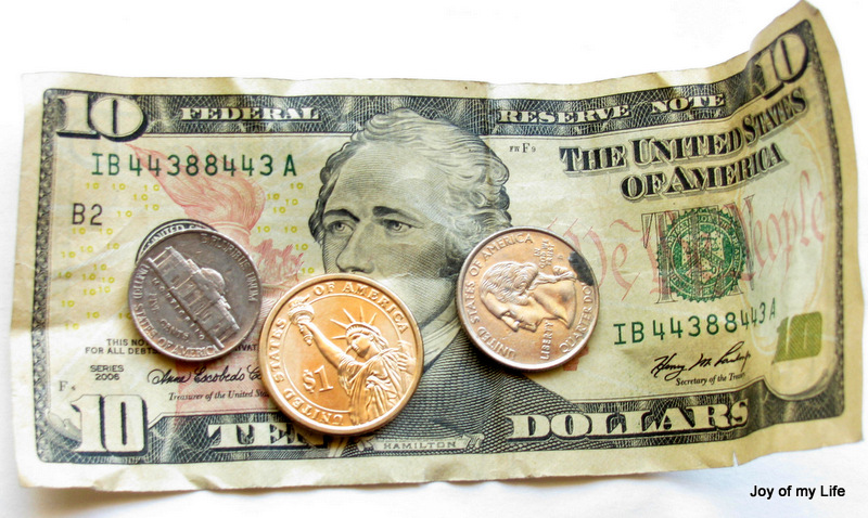 The Joy of My Life, and other things: First Eleven Dollars and Thirty Cents
