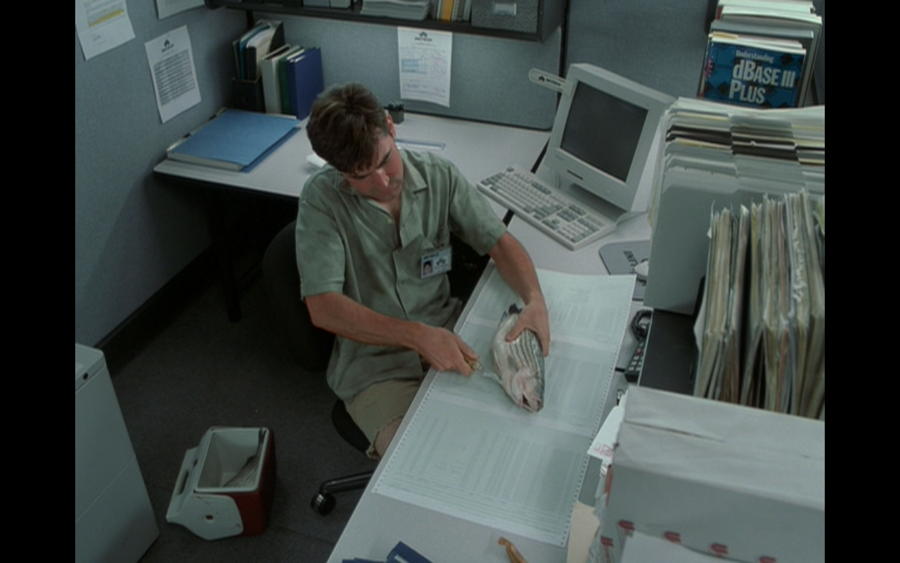 Information Systems Assignment: TPS reports