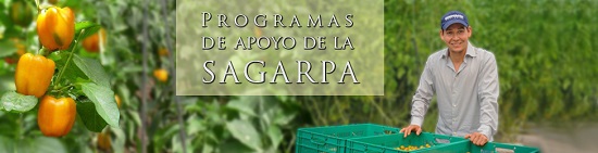 ANTONIO DEL VALLE TOCA: El programa federal FAPPA les otorga en 2016 ...