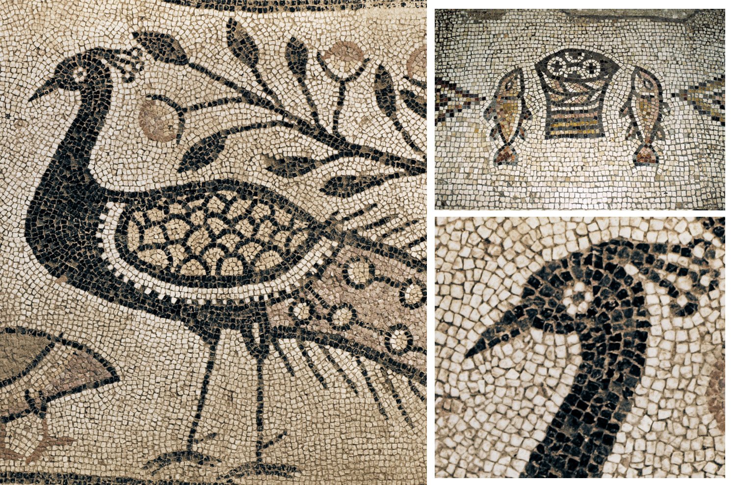 Note's Simplicity: Mozaik