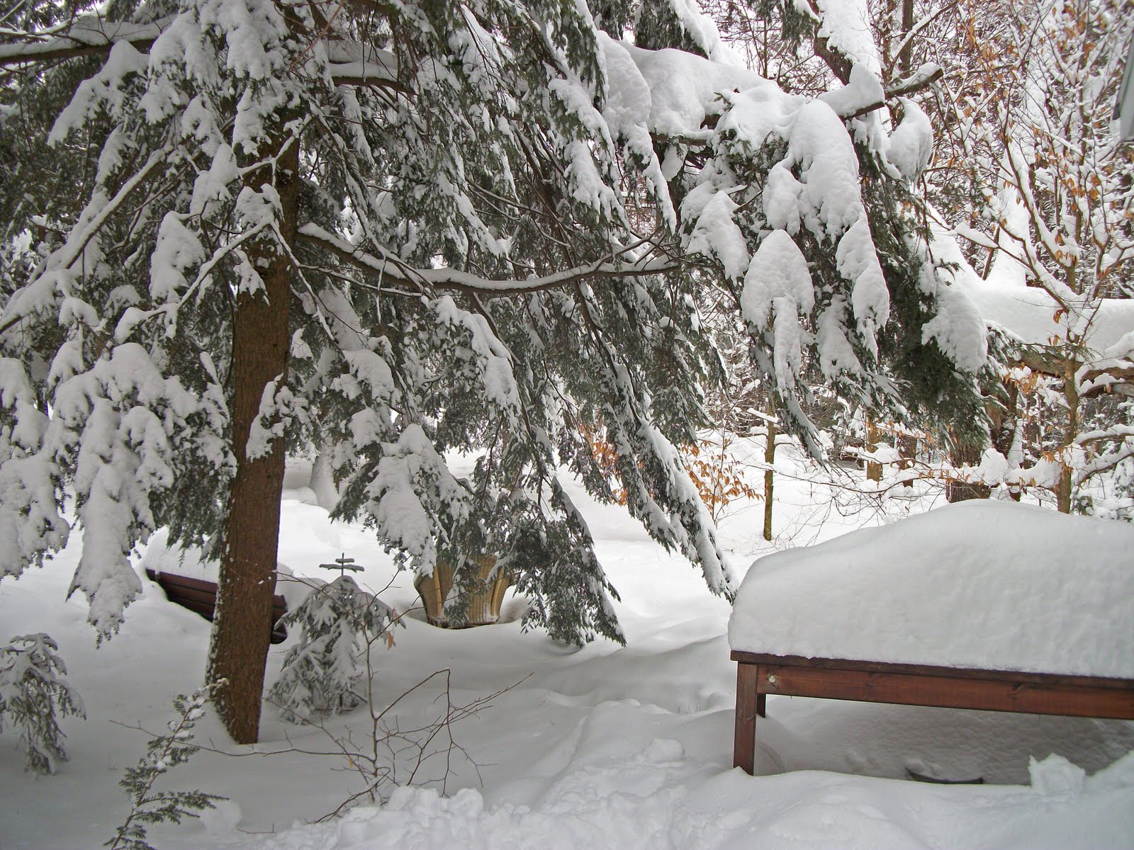 Eve Love à la montagne: la neige, la pluie et le beau temps