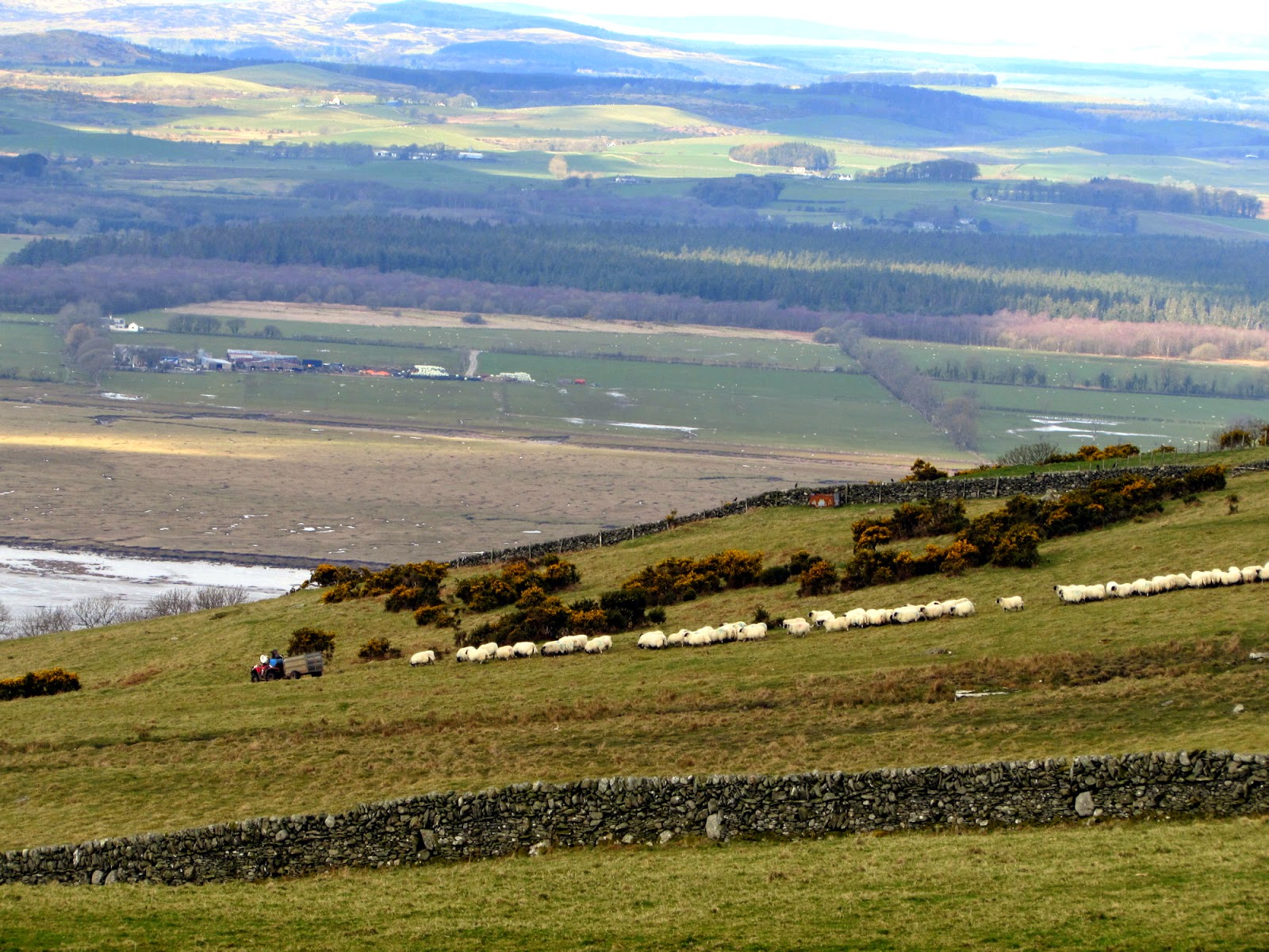 The Glebe Blog: Creetown to Kirkmabreck Quarry - Wigtown Walks and Talks