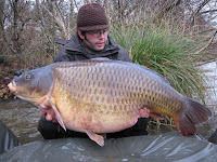 New Benelux common carp record 85lb 4oz