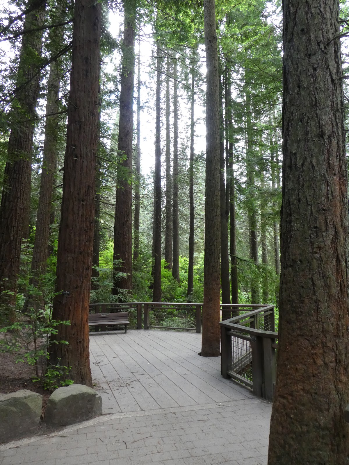 Hiking Oregon: June 2018