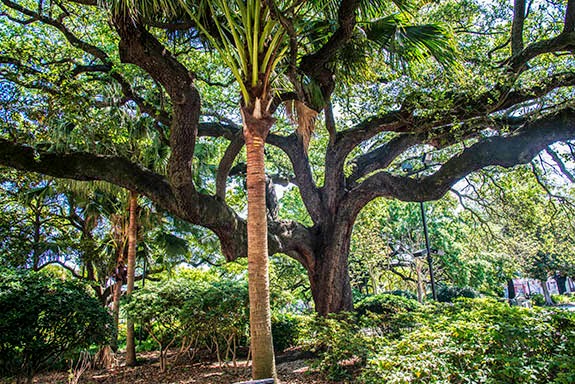 Bill and Marsha in The Big Easy