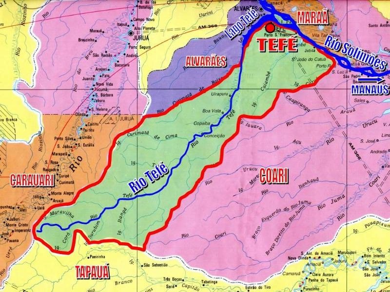 Conexão Tefé: ASPECTOS DEMOGRAFICOS