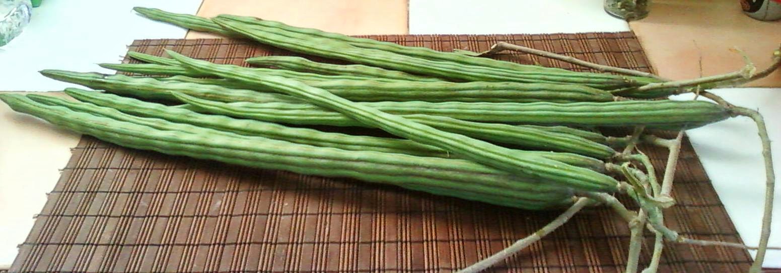 Partager avec plaisir - Recettes de cuisine faciles et idées de ...