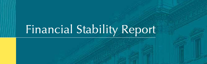 FINANCIAL STABILITY REPORT - A BRIEF OVERVIEW