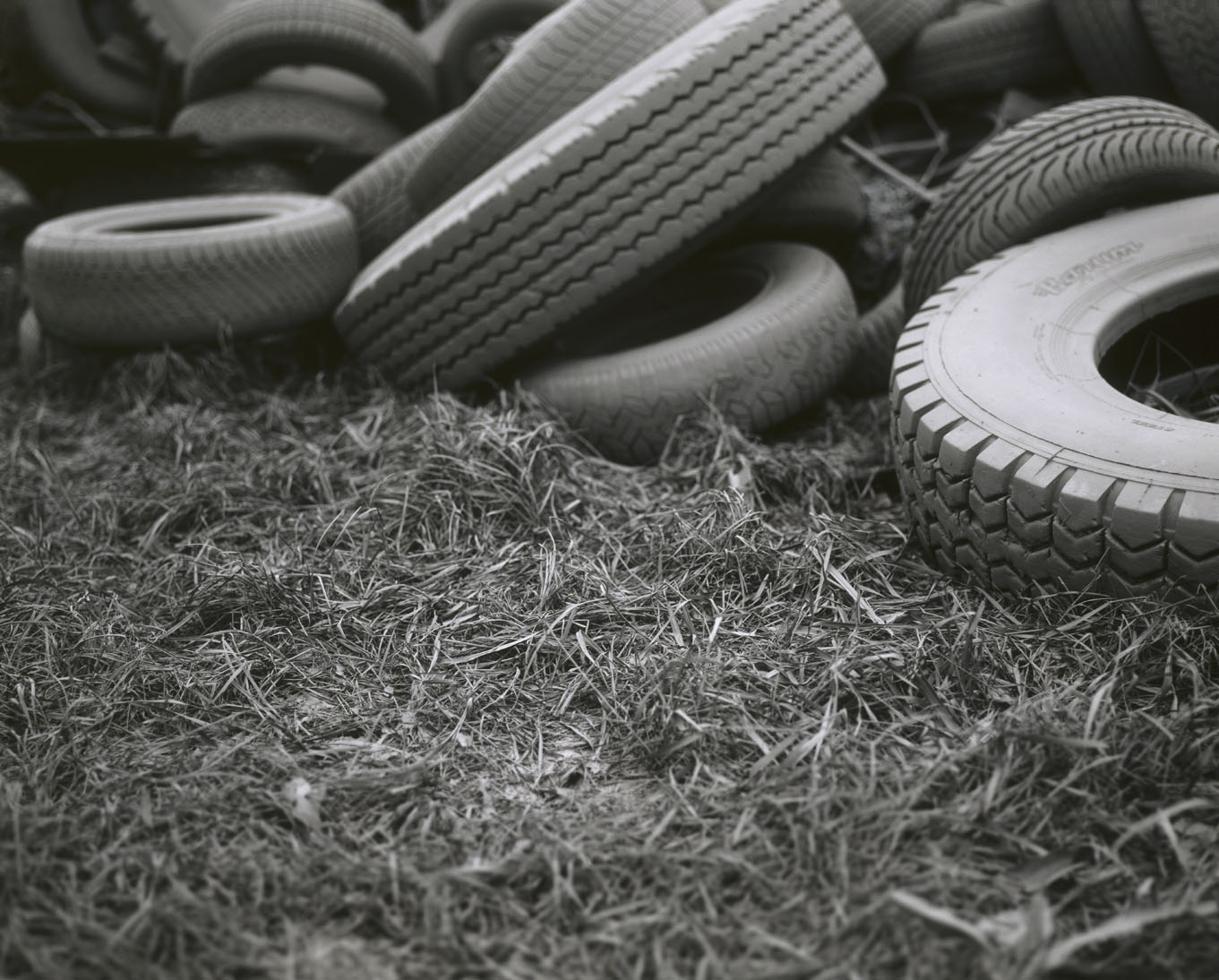 Danny Treacy | Guest Speaker | Life Looking Out...