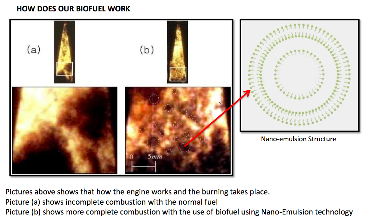 What is Nano-Emulsion Technology | BIONAS MALAYSIA