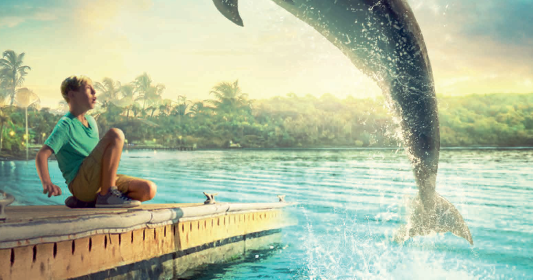 Madhouse Family Reviews: DVD review : Dolphin Kick