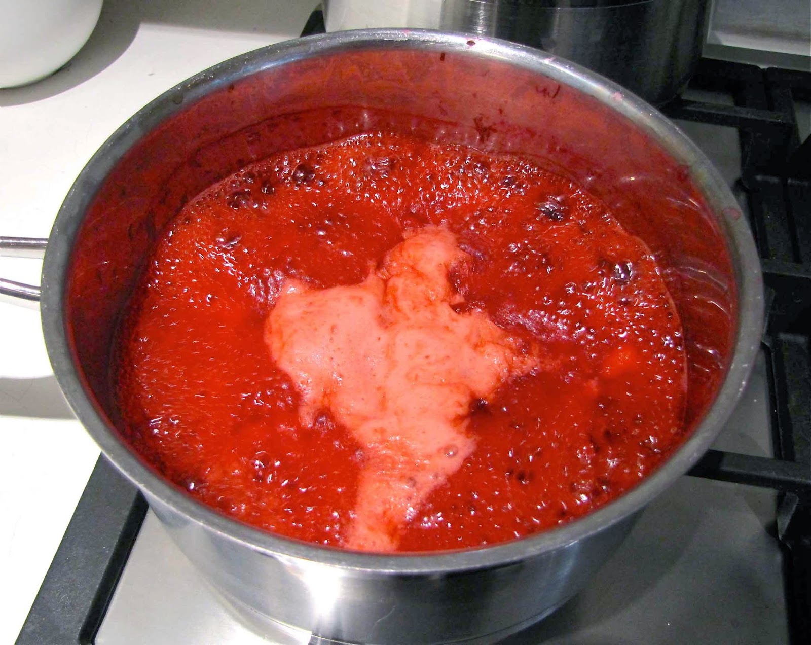 Homemade Rosella Jam