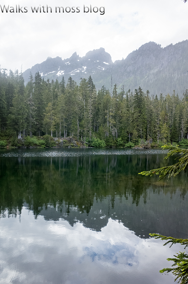Walks with Moss: Mildred Lakes Dayhike Plus a Rockslide
