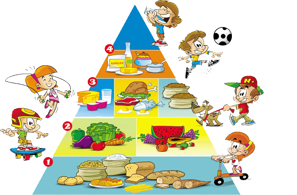 Nutrição e Vida: Pirâmide Alimentar, pra que serve?