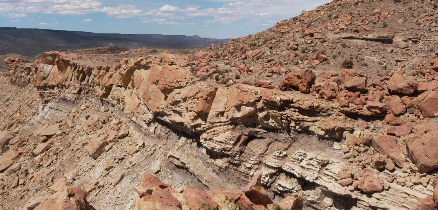 Asociación Paleontológica Argentina: CURSO DE POSTGRADO: AMBIENTES ...