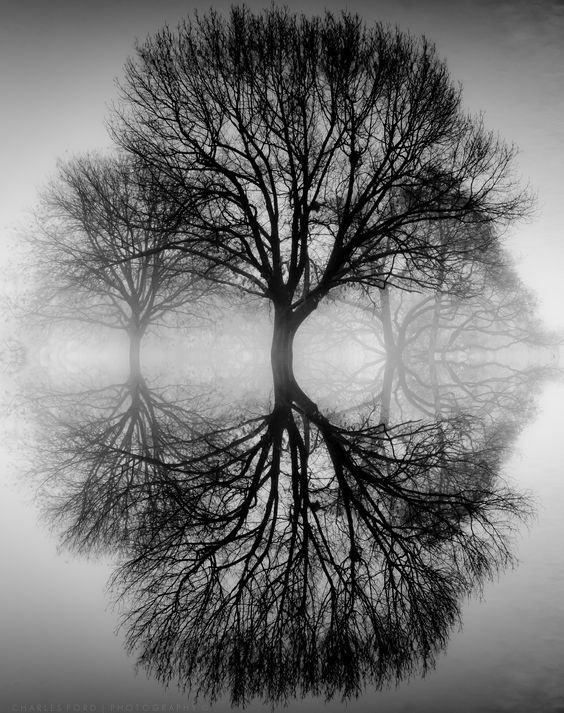 The Elements & Principles of Visual Design