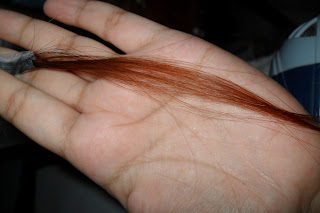 Bleach Your Hair, Strand Test