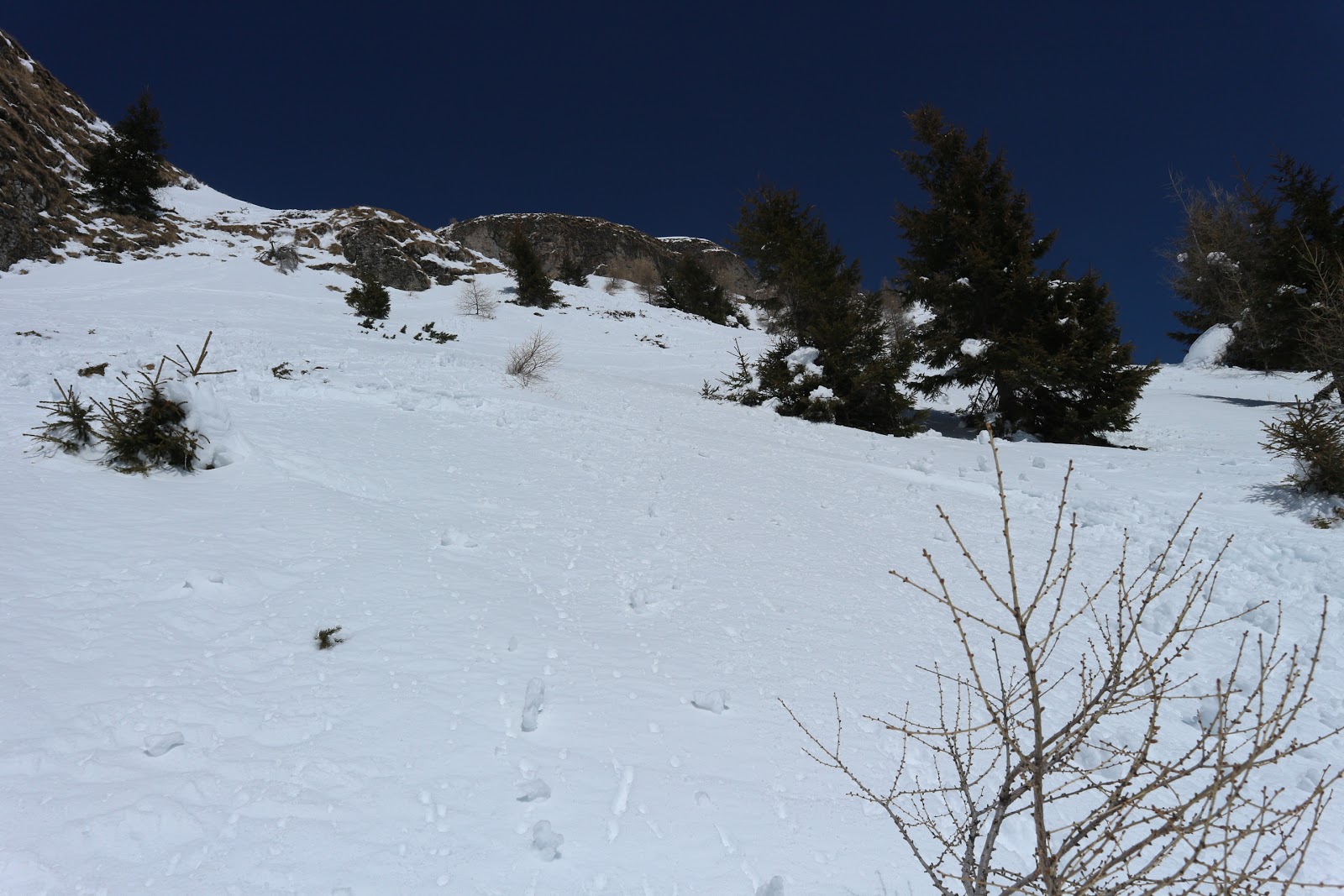 Pe drumul cel bun: Valea Dorului