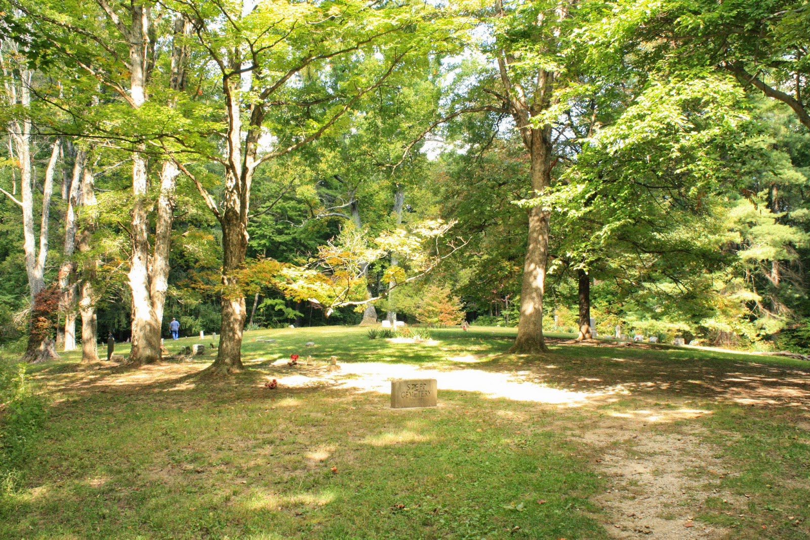 Cat's Eye View @ MPL: Taking a Stepp Into the Unknown