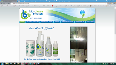 Bio-Clean Products: BIO-CLEAN WATER STAIN REMOVER