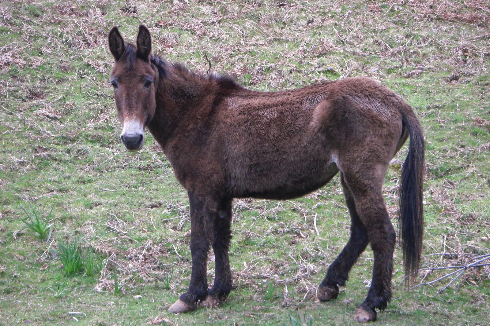 El blog de lenamanzanedo.com: febrero 2018