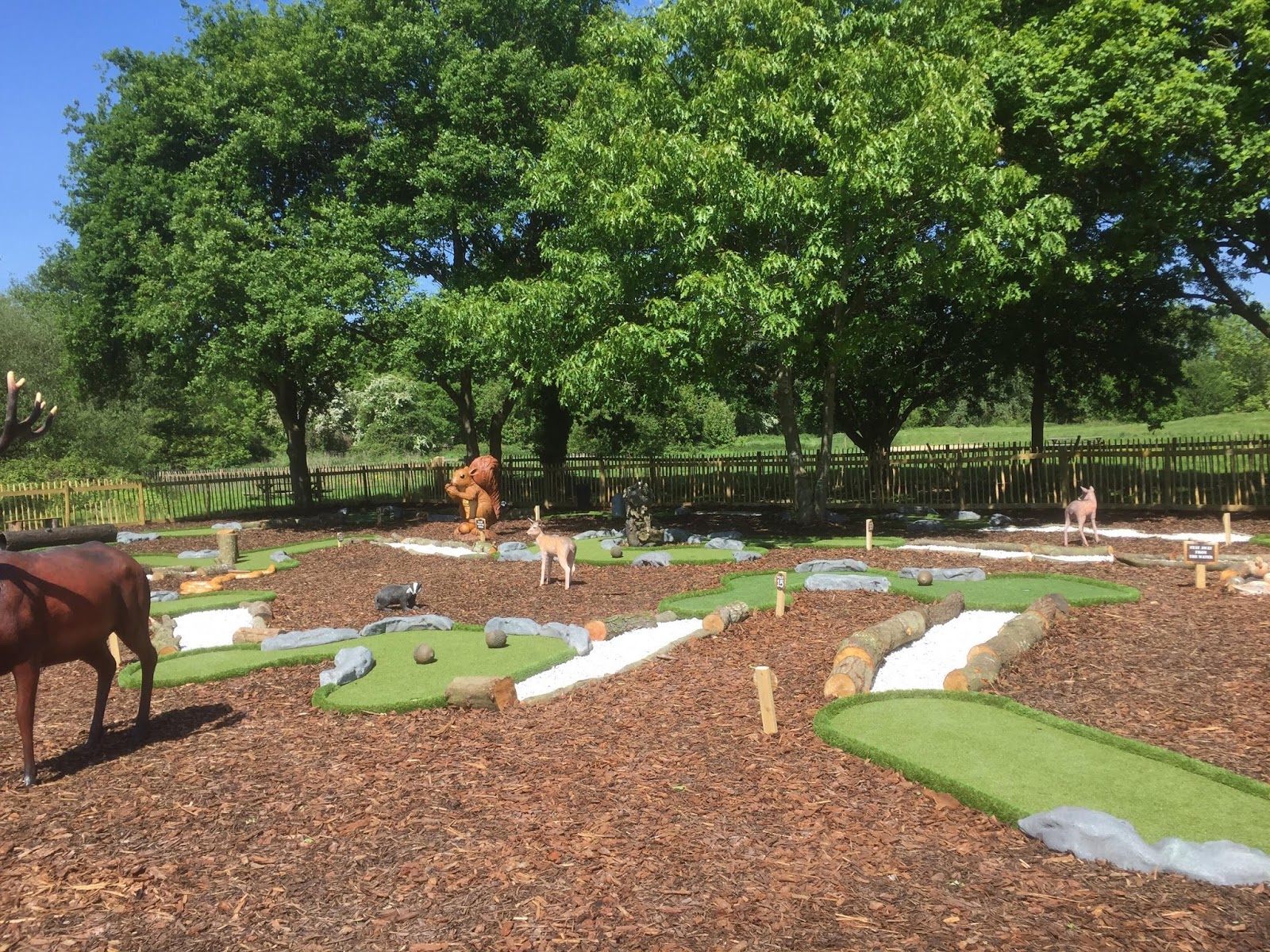 The Ham and Egger Files: Adventure Golf at Dinton Pastures Country Park ...