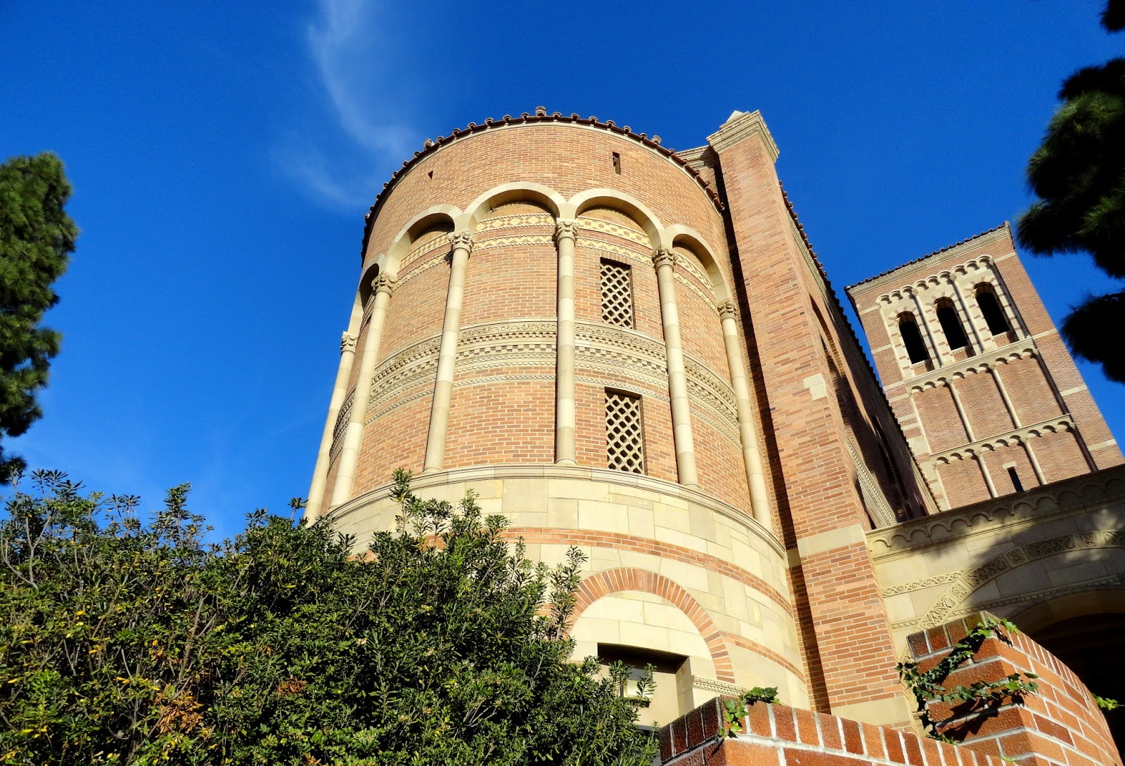 danger garden: An afternoon at UCLA