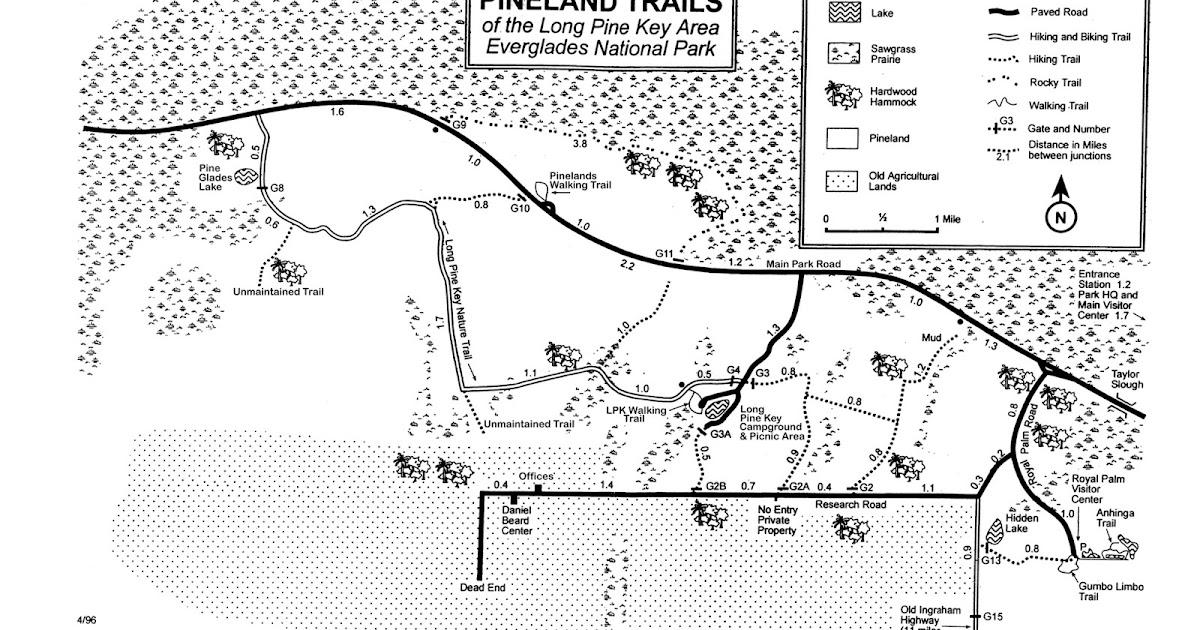 Chuck's Adventures: Biking Florida's Long Pine Key Trail