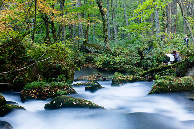 Roving Light TravelPhotoBlog: Oirase Stream, Tohoku Japan