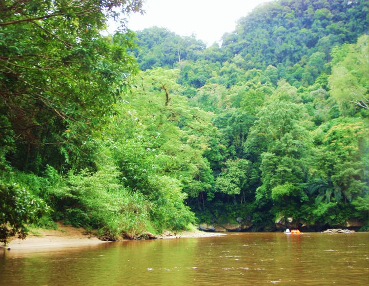 Cats City Hornbill Land: PADAWAN FEST RIVER SAFARI