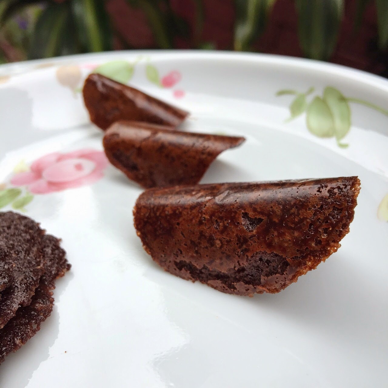 Alice Medrich Cocoa Tuiles - Chik's Crib